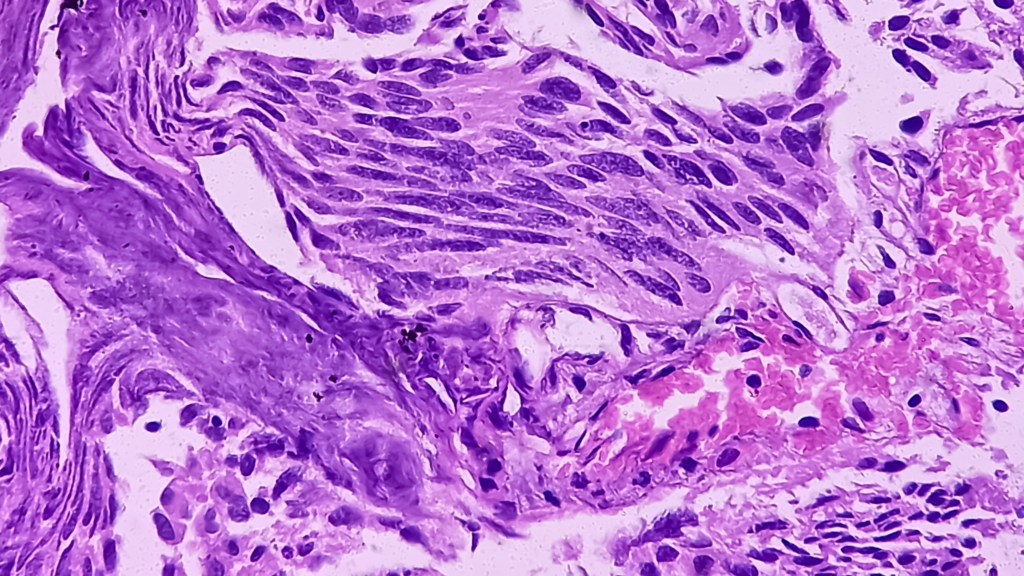 2026 AFAC Registration - Van Andel Institute Forms